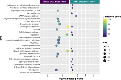 Functional Enrichment Analysis For The Mirna Mrna Validated