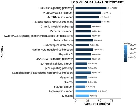 Identification And Diagnostic Potential Of Serum Micrornas As