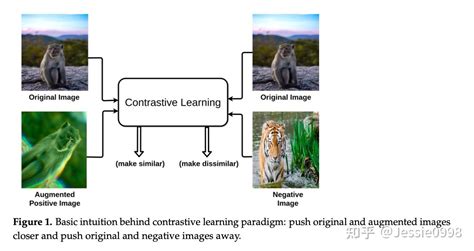 Contrastive Learning 综述 ‘a Survey On Contrastive Self Supervised