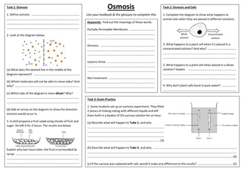 Cb1g Osmosis A3 Sheet Edexcel Combined Biology Gcse Teaching