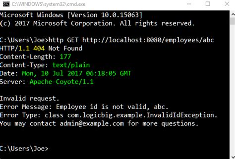 jax rs exception mapping provider