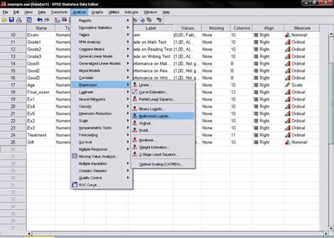 conduct and interpret a multinomial logistic regression statistics
