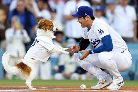 愛犬デコピンが初の大役 大谷翔平がsns更新でお宝写真公開…「デコイの始球式」 Full Count