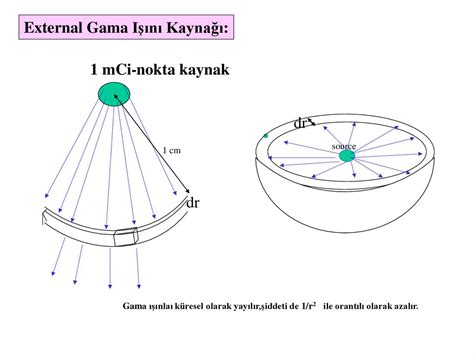 Radiation Biophysics презентация онлайн