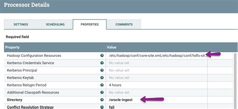 ingesting timestamp field from oracle to hdfs using nifi oracle