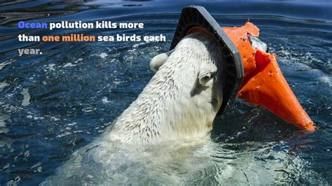 Marine Pollution Types Causes Effects And Prevention Earth Reminder