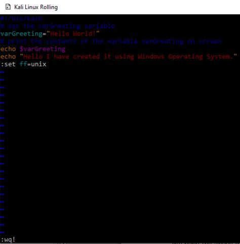 resolving bin bash bad interpreter no such file or directory error