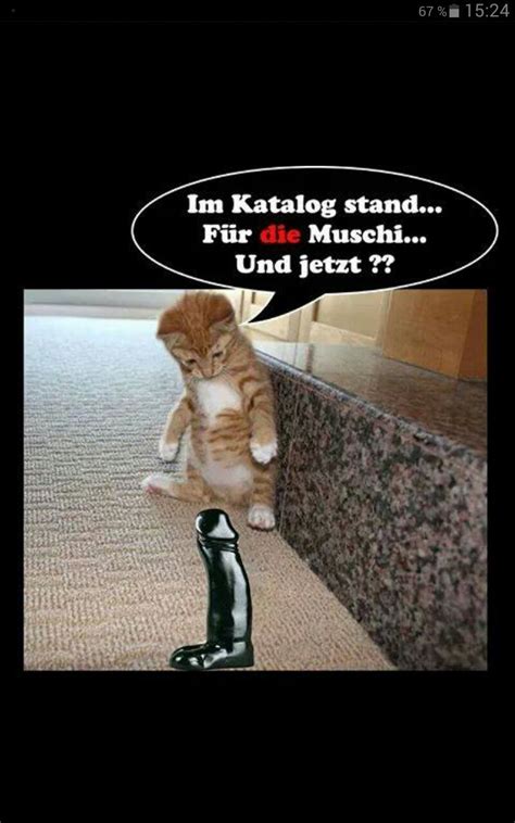 Lachen Witzige Sprueche Bilder