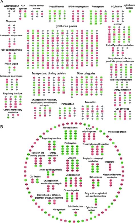 Classification Of All Degs And Deps Based On Their Go Categories A