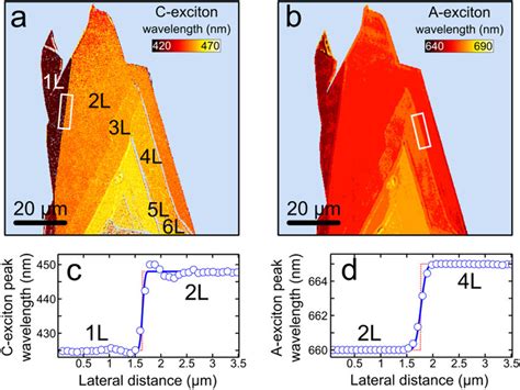 Figure S4 Comparison Between The Hyperspectral And Multispectral