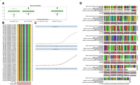 Male Plant Sex Marker Analysis By Qpcr And Sequencing A Box Plot