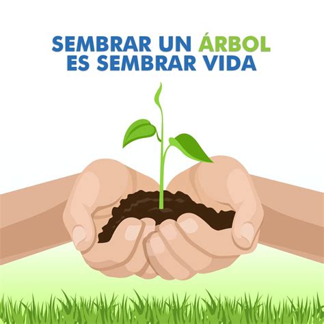 La Importancia De Sembrar árboles By Hidrobag Medium