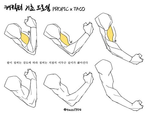 Tuto Propic X Taco에 있는 Nova님의 핀 해부학 그림 해부학 참고 자료 해부학 예술