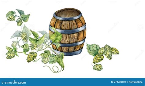 Banner Of Wooden Beer Barrel And Hop Vine Watercolor Illustration