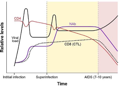 Frequency And Implications Of Hiv Superinfection Abstract Europe Pmc