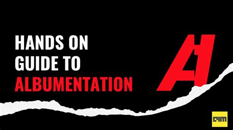 hands on guide to albumentation python library for image