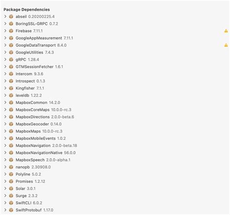 [bug] can t resolve dependencies in swift package manager · issue