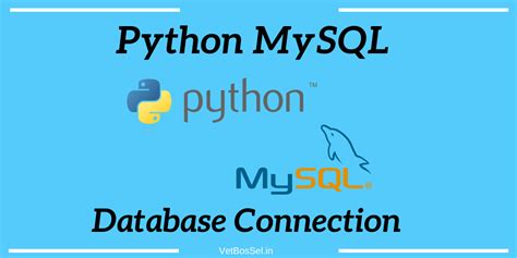 python mysql database connection example vetbossel