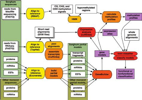 flowchart depicting the bioinformatic pipeline used for the structural