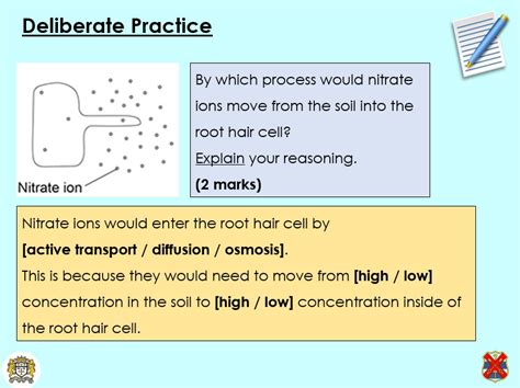 Aqa Gcse Cell Transport Diffusion Osmosis Active Transport