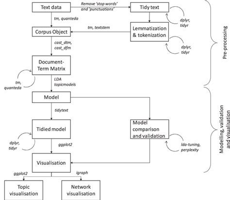 analytical steps adopted in the lda based topic modelling of the