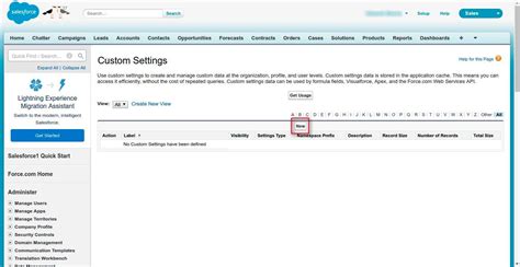 salesforce packagexml custom settings salesforce