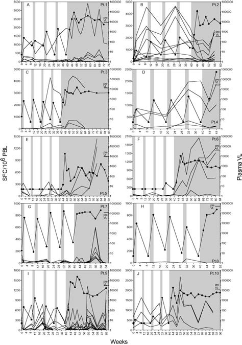 Evolution Of Vl And Hiv Specific Cd8 T Cell Frequencies In 10 Patients