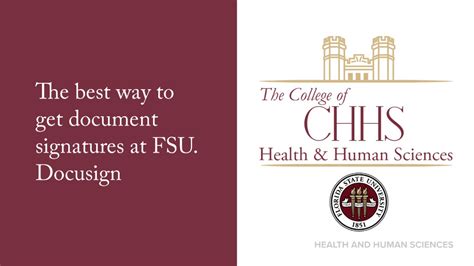 information technology fsu college of health and human sciences