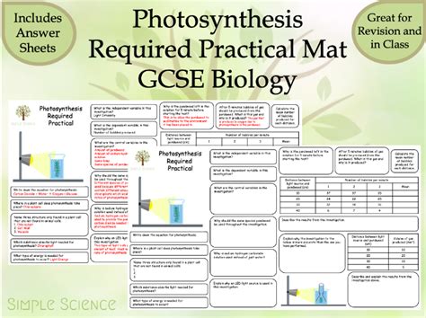 Photosynthesis Required Practical Mat Aqa Gcse Biology Teaching