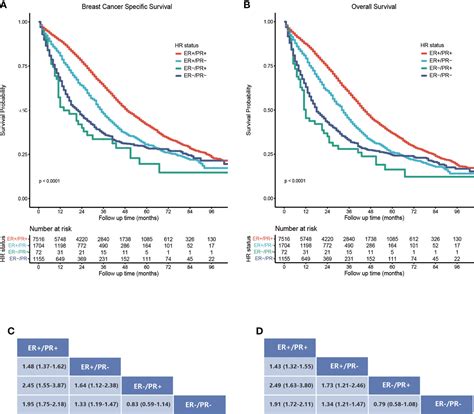 Frontiers Characteristics And Survival In Bone Metastatic Breast