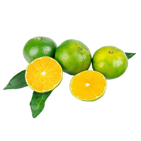 Gambar Buah Jeruk Hijau Jeruk Segar Buah Kulit Hijau Png Transparan
