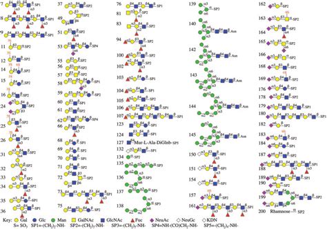 representative glycan structures on the array glycan structures