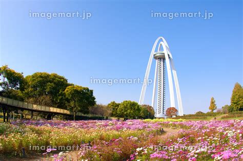 [愛知県]一宮市の138タワーパークの写真素材 [236110478] イメージマート