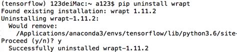python package has been installed wrapt it prompts error