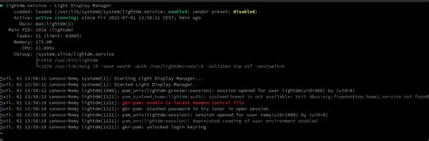 fresh install failed to start light display manager support