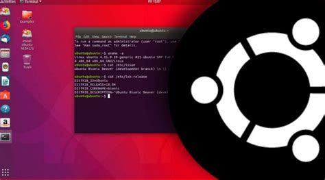 20 basic ubuntu commands and terminal shortcuts every beginner must know