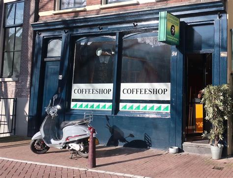 Top 10 Amsterdam Drug Laws For Tourists In 2023 Whats Legal