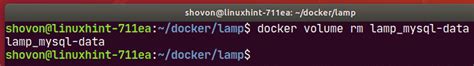 set up a lamp server with docker linux hint