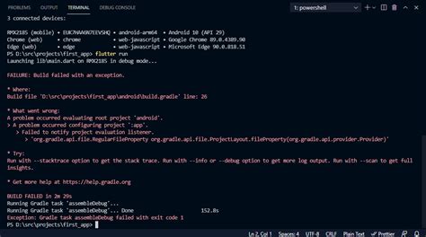 build failed with an exception flutter a problem