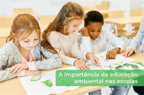 A Importância Da Educação Ambiental Nas Escolas Fundação Mudes