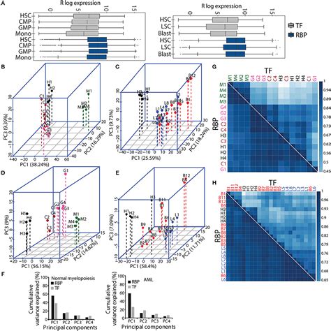 Frontiers Transcriptomic Analysis Identifies Rna Binding Proteins As