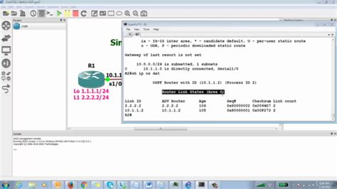 cisco ospf practical labs 2022 basic to advanced udemy