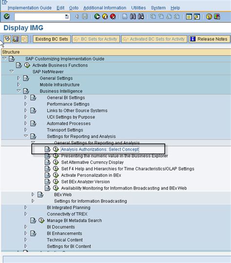 sap security and authorizations