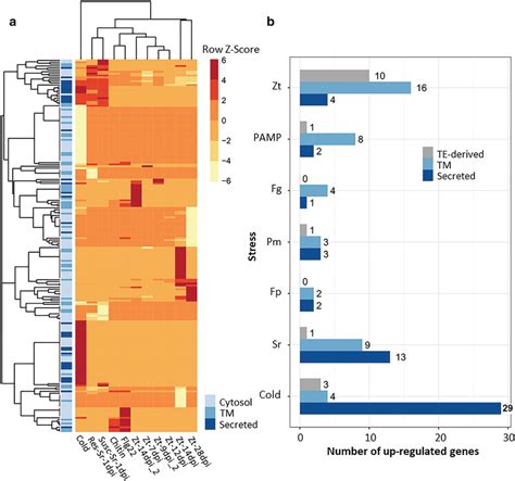 Transcriptomic Analysis Of Differentially Expressed Triticeae‐specific