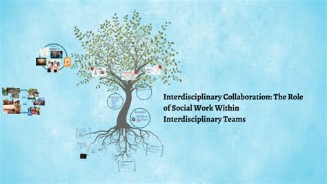 Interdisciplinary Collaboration A Brief Guide To Social Wor By Jessica