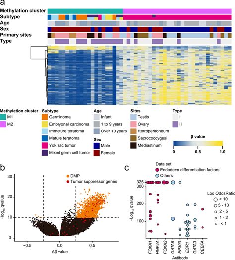 dna methylation analysis a dna methylation clustering in 51 gct samples