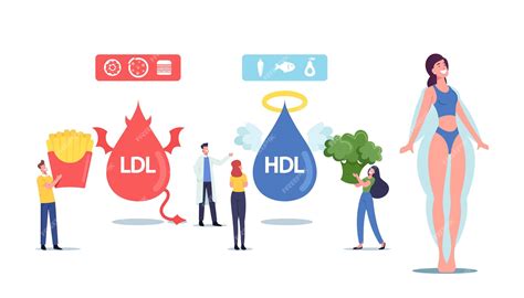 Premium Vector Good And Bad Cholesterol Concept Tiny Male And Female