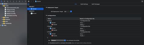 ios flutter pod errors with native pod integration