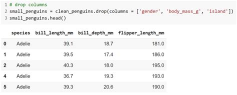 แนะนำ 12 วิธีใช้งาน pandas dataframe สำหรับผู้เริ่มต้น datarockie