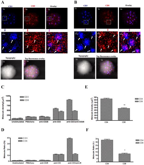 Tcr Cd3 Ligation Also Induced Cd3 Co Clustering With Cd8 In